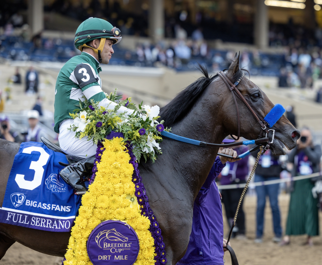 Breeders' Cup Dirt Mile: Full Serrano's connections hope for déjà vu